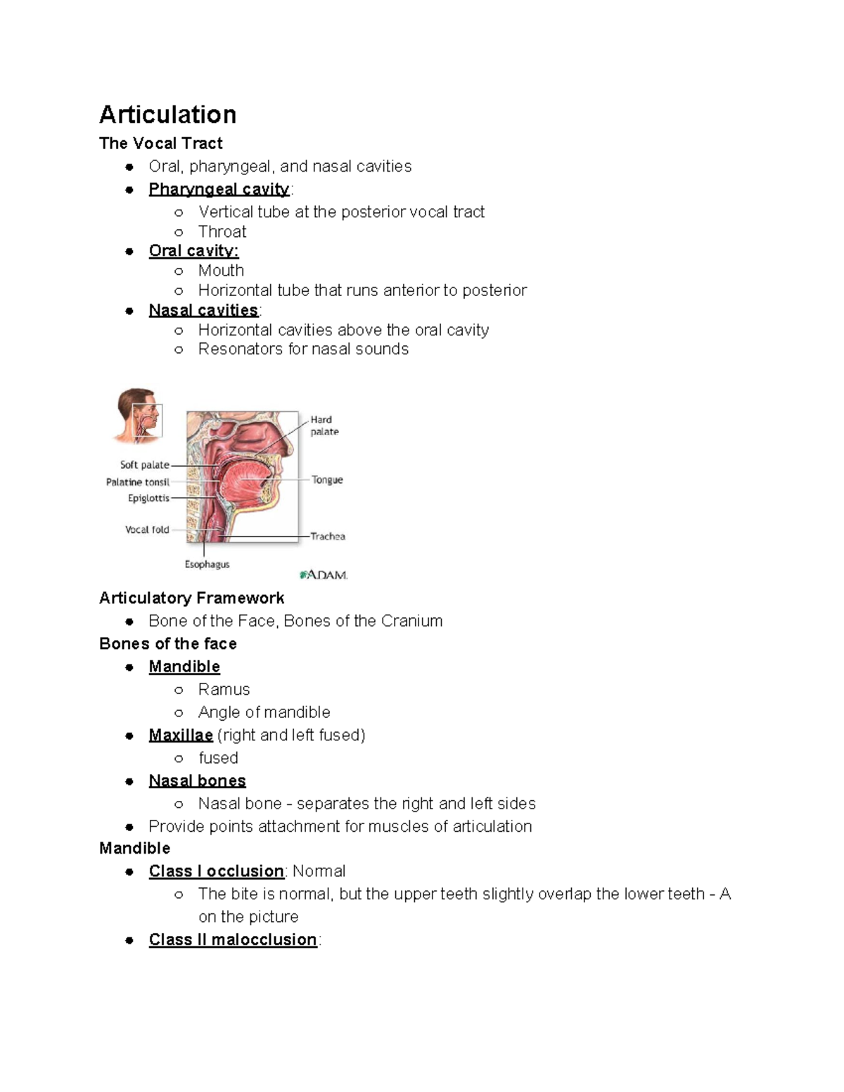 Anatomy and Physiology of Articulation-2 - Articulation The Vocal Tract ...