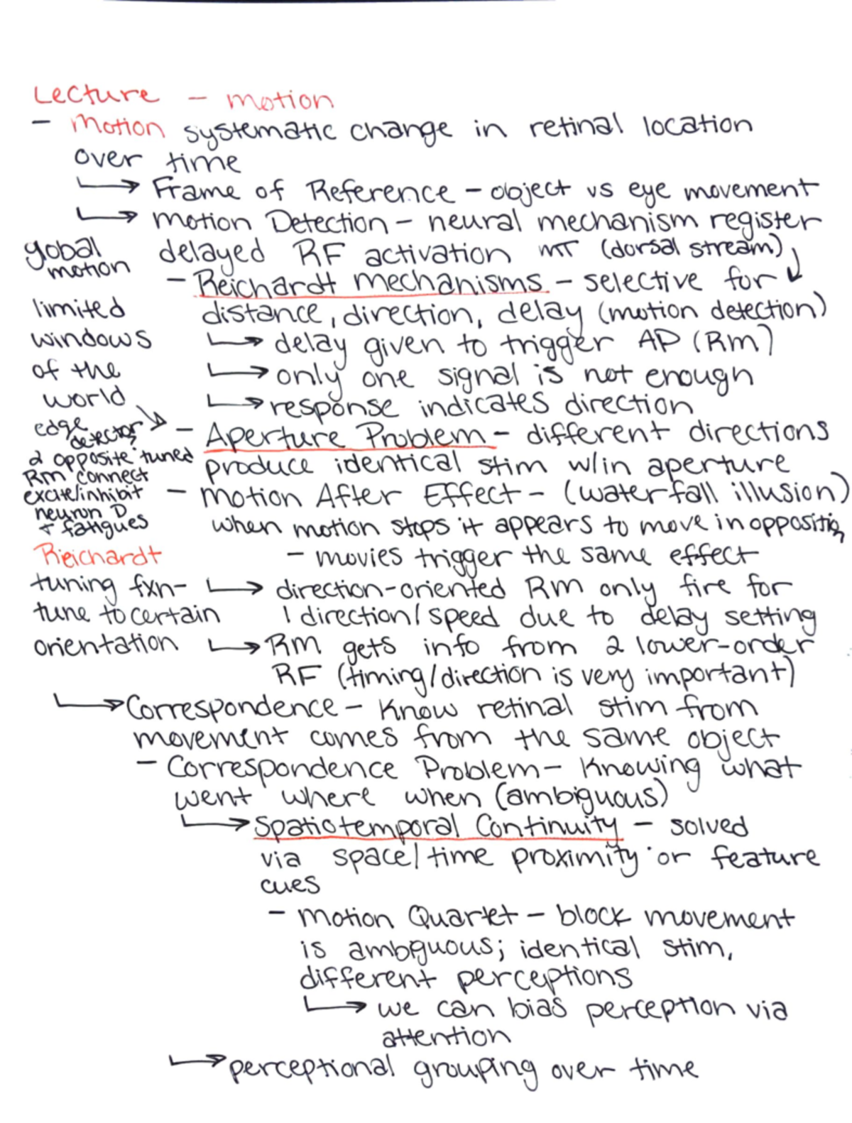 Week 9 Lecture And Assigned Reading Notes Motion 2 Edge Electory Rm Connect Neuron D I