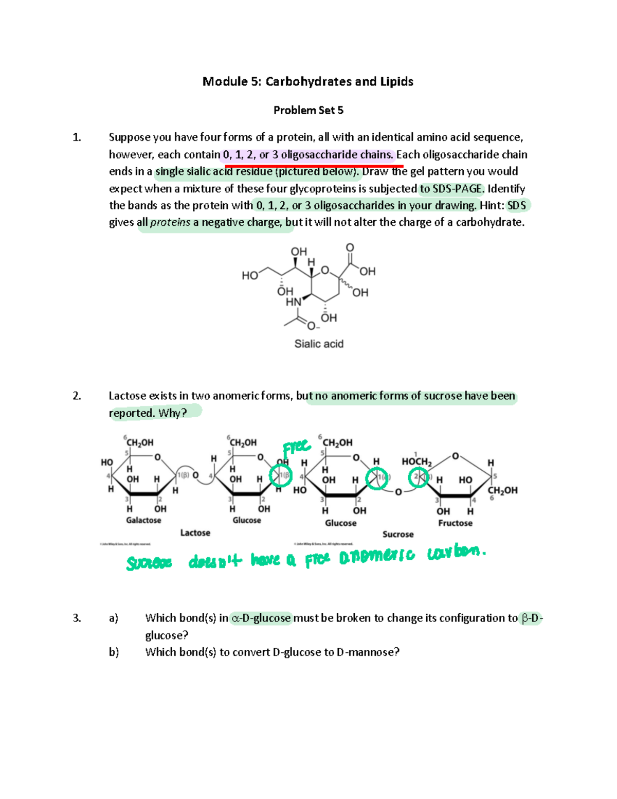BIO360 Problem Set 5 - Module 5 : Carbohydrates and Lipids Problem Set ...