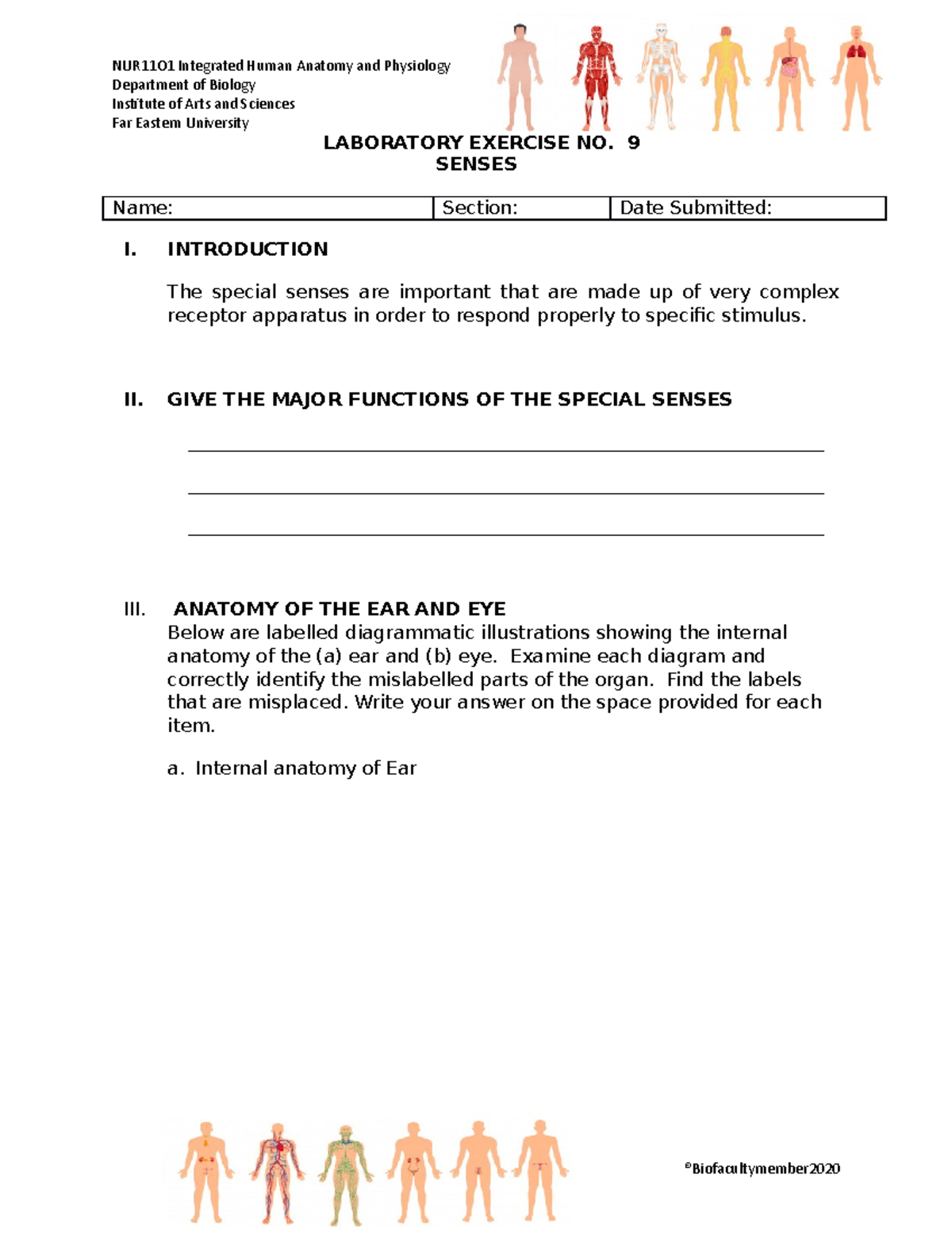 LAB Exercise 9 Senses - hello - accountancy - FEU Diliman - Studocu