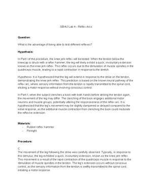 Lab 3 - Synthesis of Protein - SBI4U Lab 3 - Synthesis of Protein ...