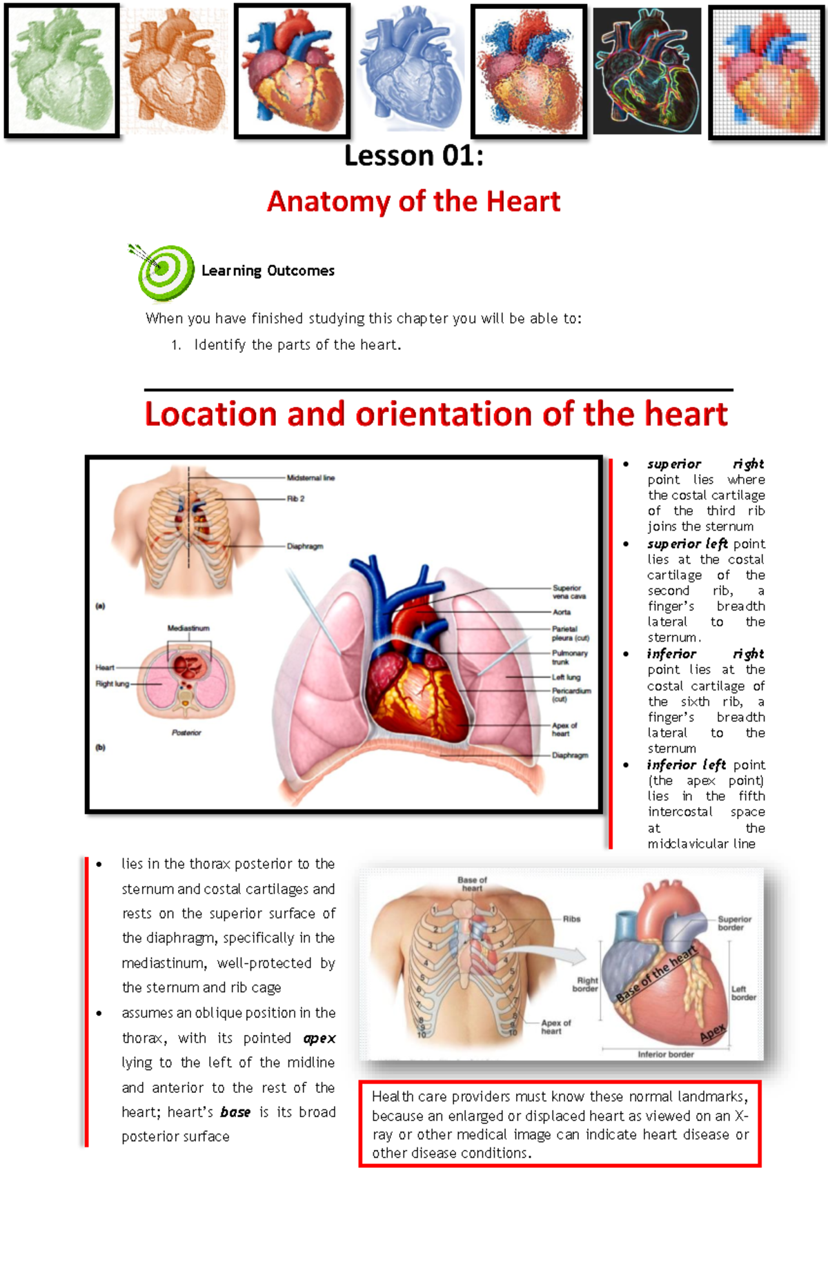 NUMC 101B Module 2 Cardiovascular system - the Heart Lesson 01 ...