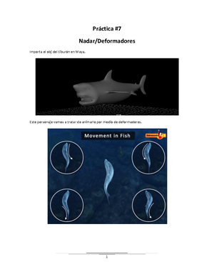 Manual museografia - Manual฀básico฀de฀montaje฀museográfico Paula฀Dever ...