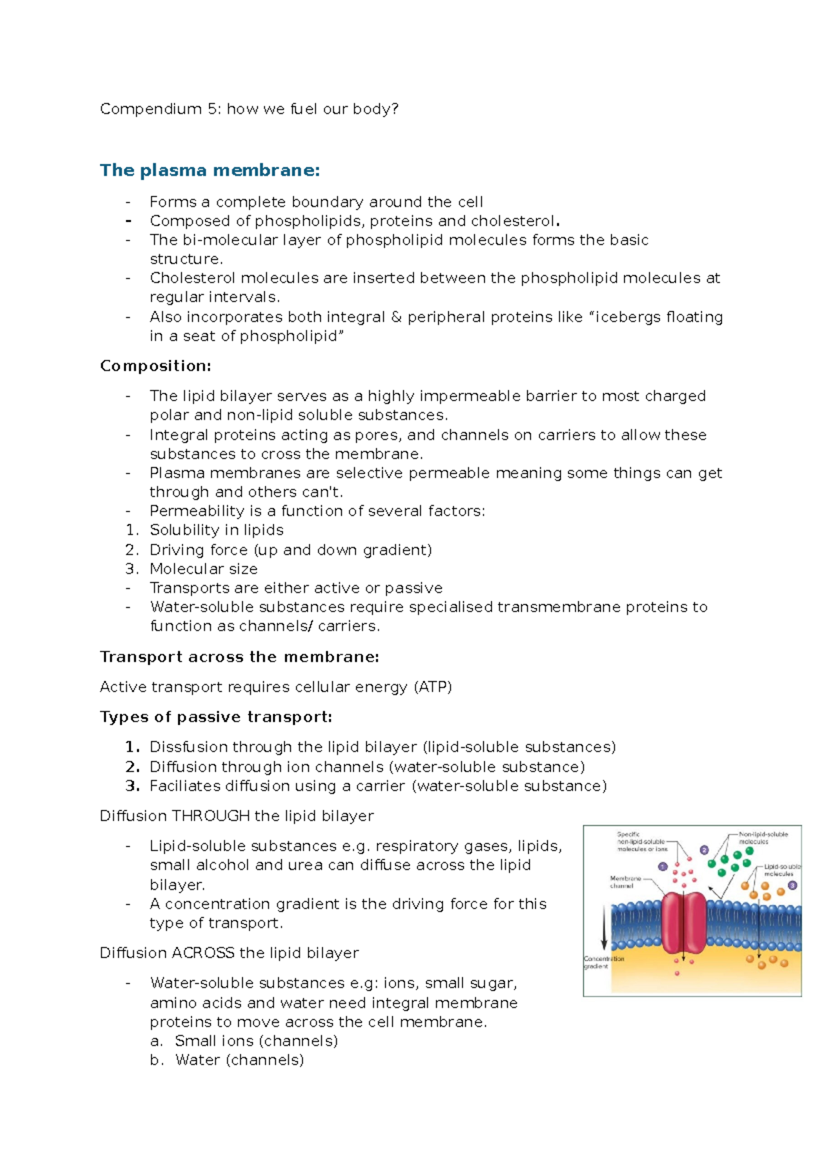Compendium 5 - these are my notes and I think they are really good ...