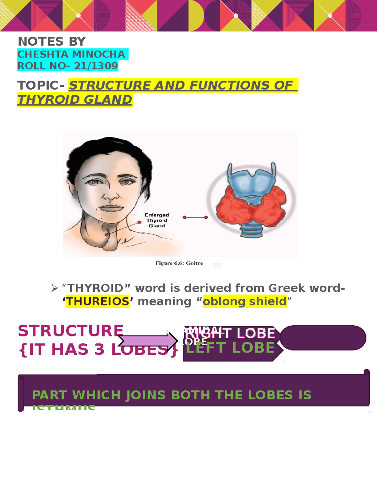 Thyroid gland notes - ssss - NOTES BY CHESHTA MINOCHA ROLL NO- 21 ...