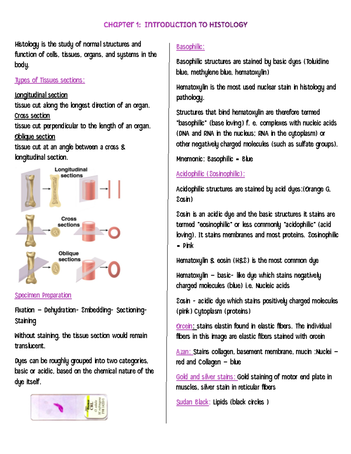 Introduction To General Histology - Histology is the study of normal ...