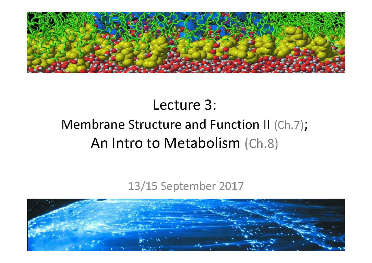 Membrane Structure and Function II - 7) How do cell membrane proteins ...