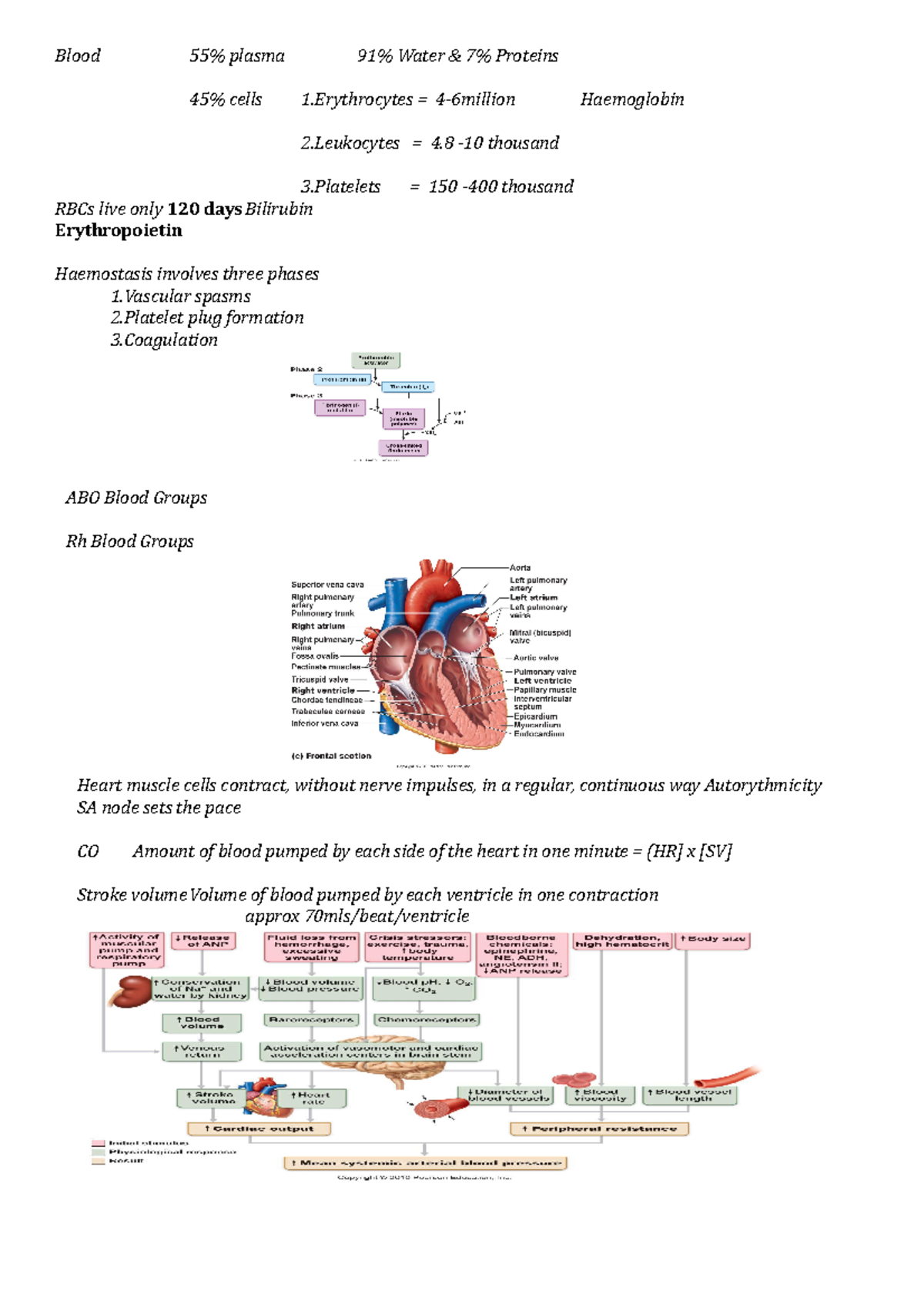 Week 8 revision in lecture - Blood 55% plasma 91% Water & 7% Proteins ...