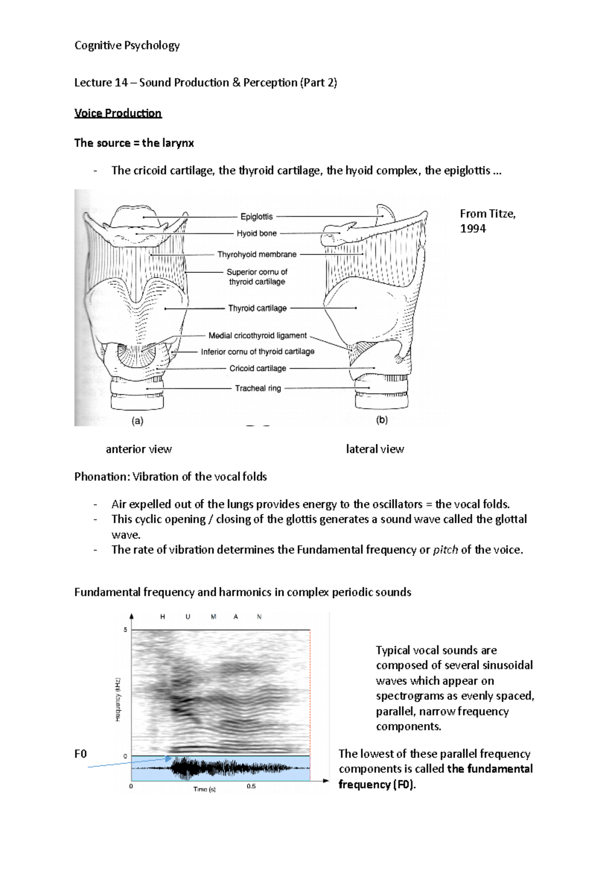 Lecture 14 – Sound Production - Lecture 14 – Sound Production ...