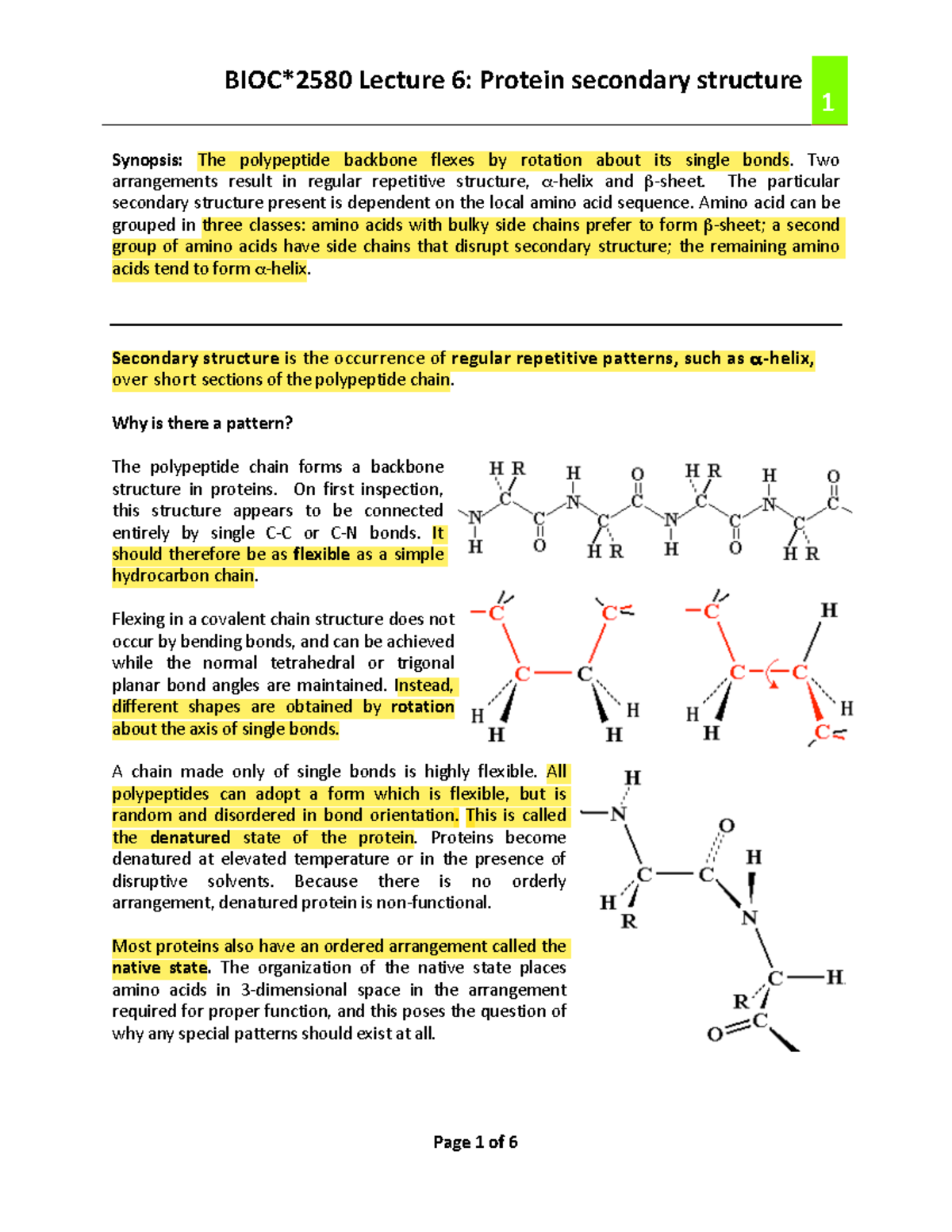 Lecture 6-Secondary Structures amino acid - 1 Synopsis: The polypeptide ...