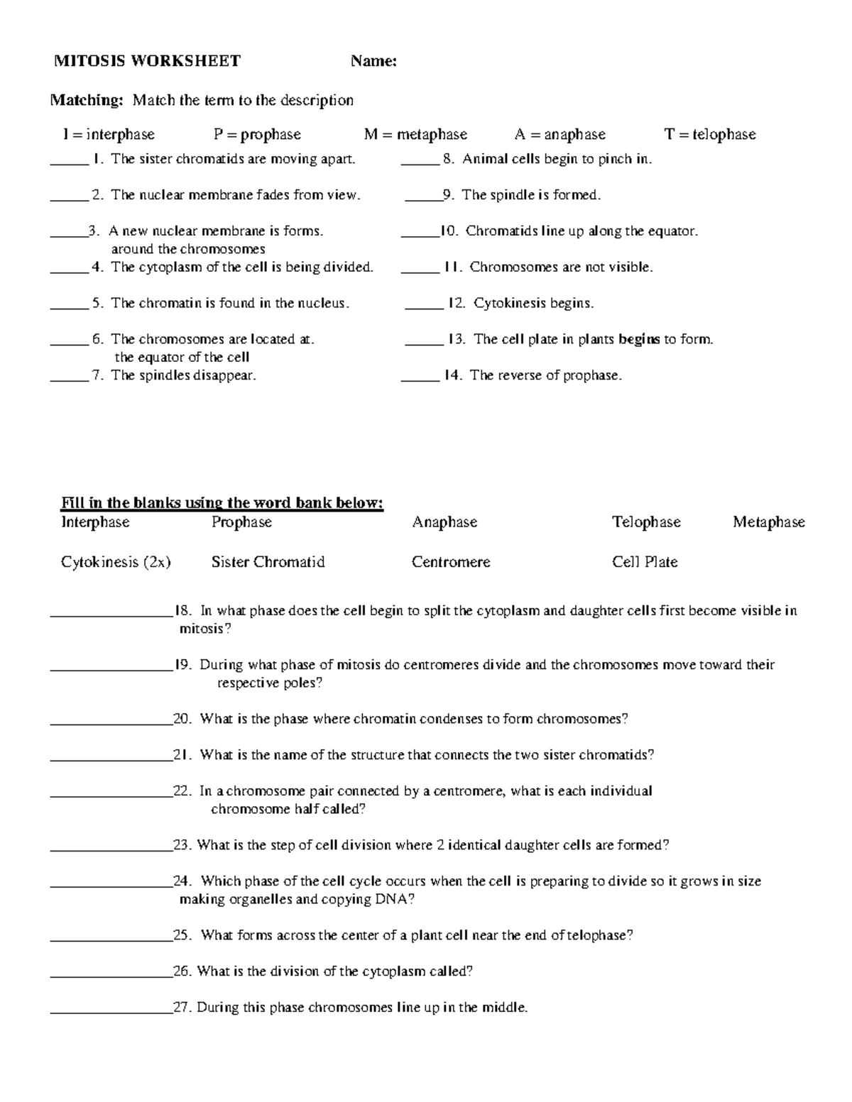 Mitosis Worksheet - MITOSIS WORKSHEET Name: Matching: Match the term to ...