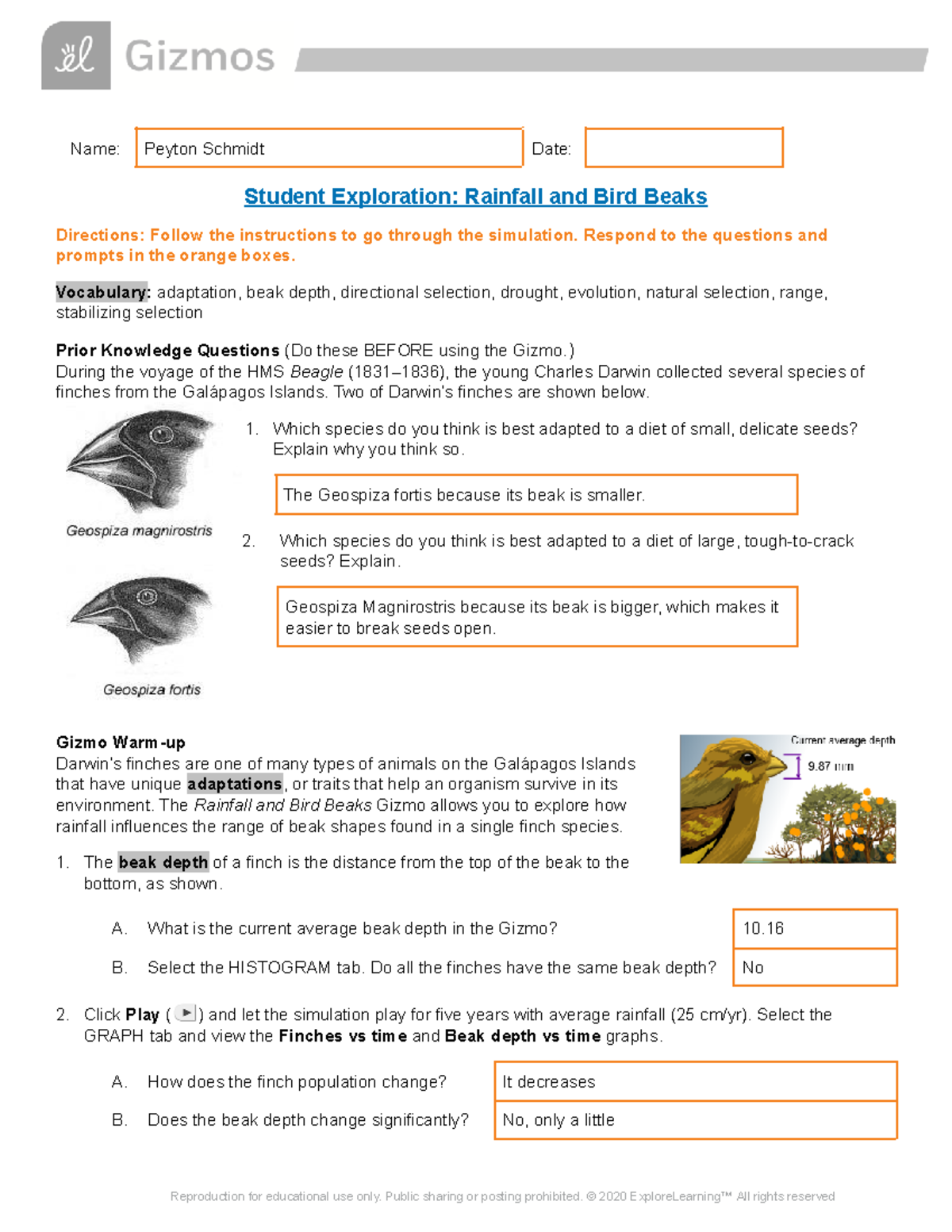Gizmo Rainfall Bird Metric - Name: Peyton Schmidt Date: Student ...