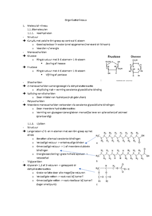 Anatomie samenvatting vlakken - Bewegingen flexie : buigen anteflexie ...