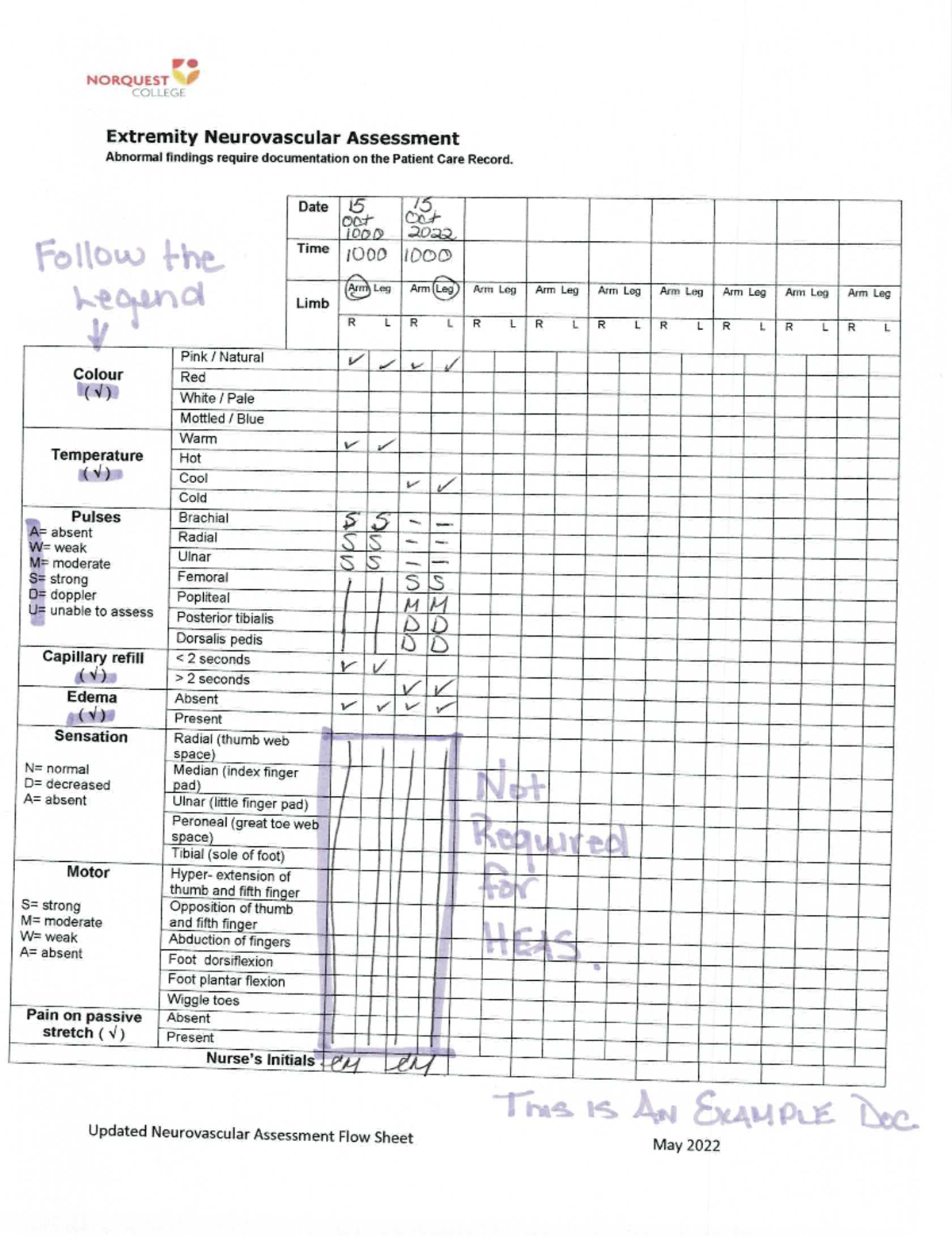 Neurovascular Doc example - HEAS1000 - Studocu