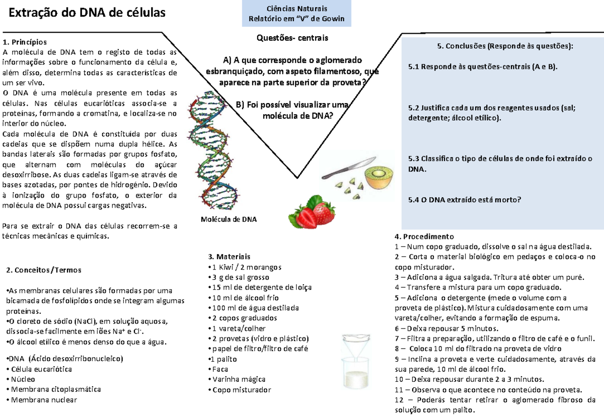 Vgowin extração do ADN - Extração do DNA de células Princípios A ...