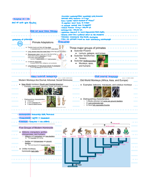 Ch 10 Part 2 Reading Guide And Worksheet - Lecture Notes & Study Guide ...