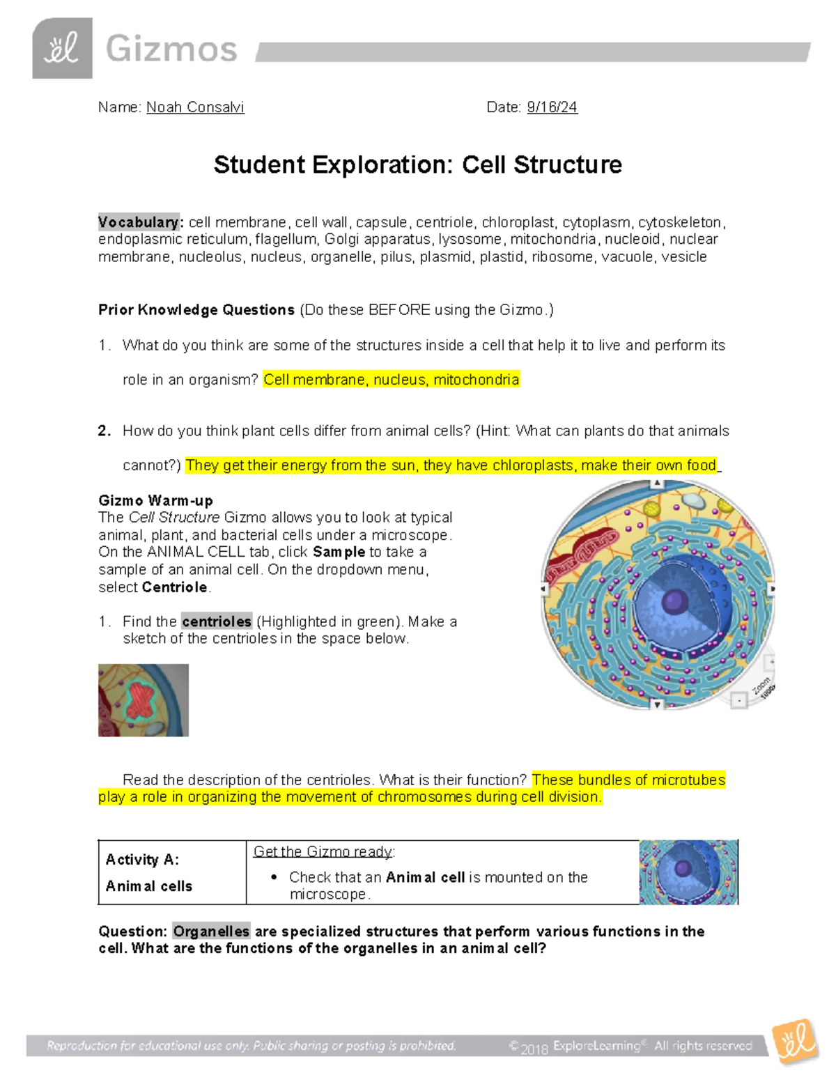 Cell Structure SE - Worksheet - Name: Noah Consalvi Date: 9/16/ Student ...