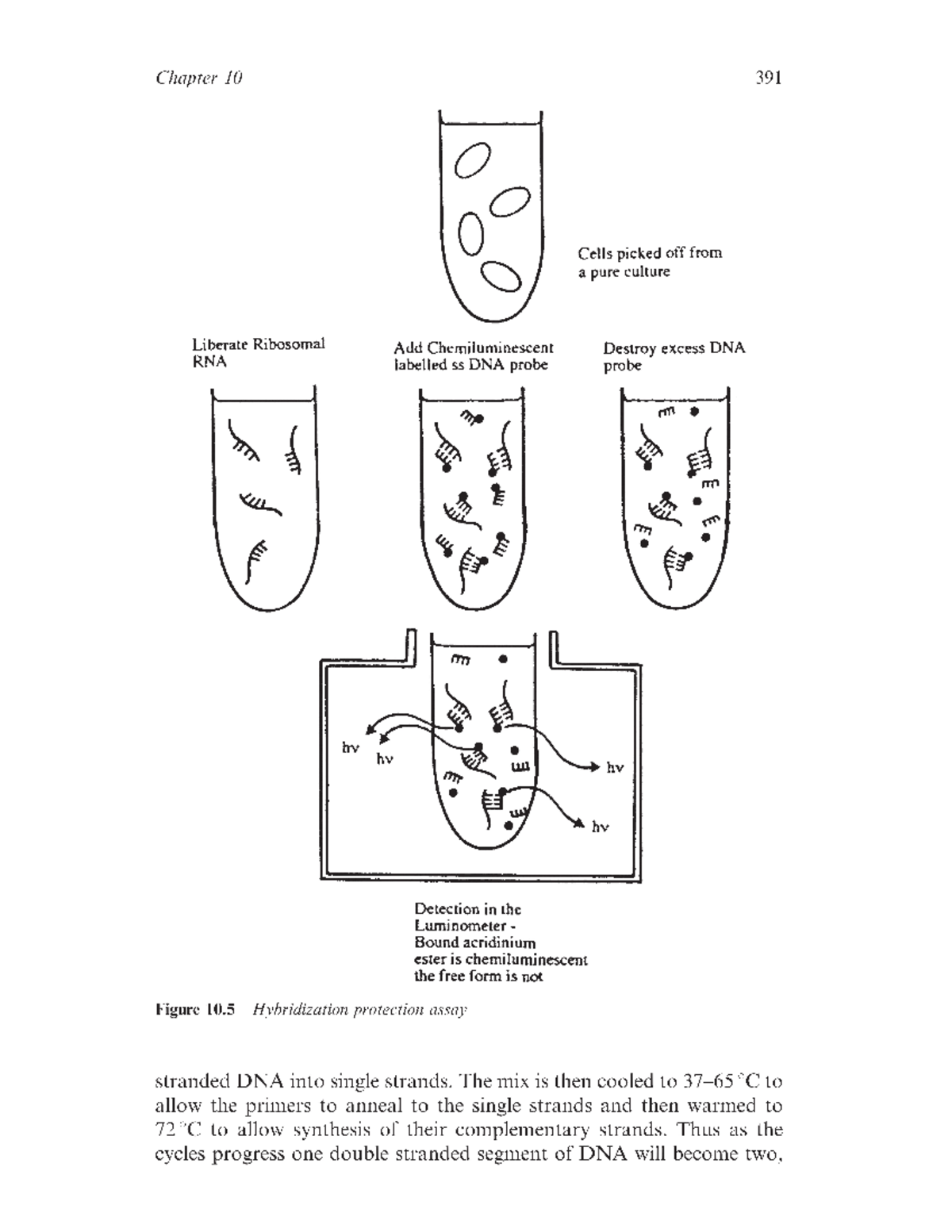 Methods for detecting food borne pathogens 8 - Food Production ...