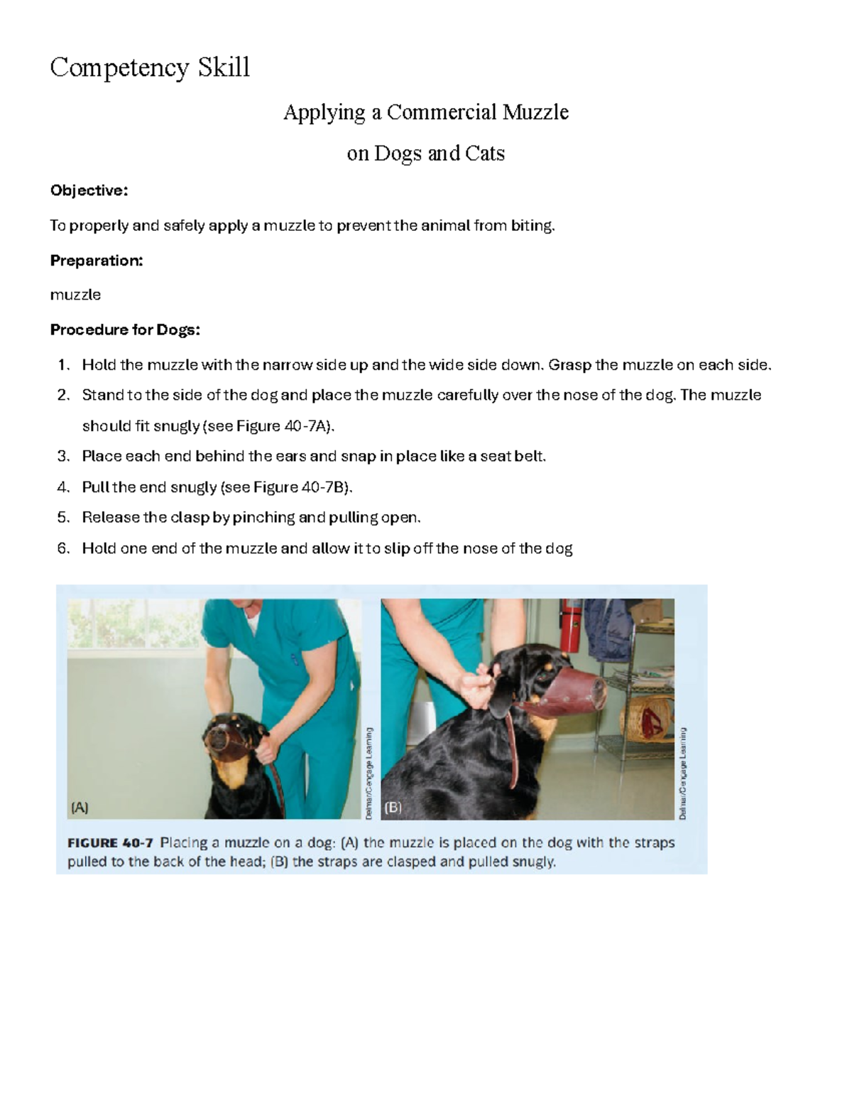 Applying a Muzzle for a dog and cat - Competency Skill Applying a ...