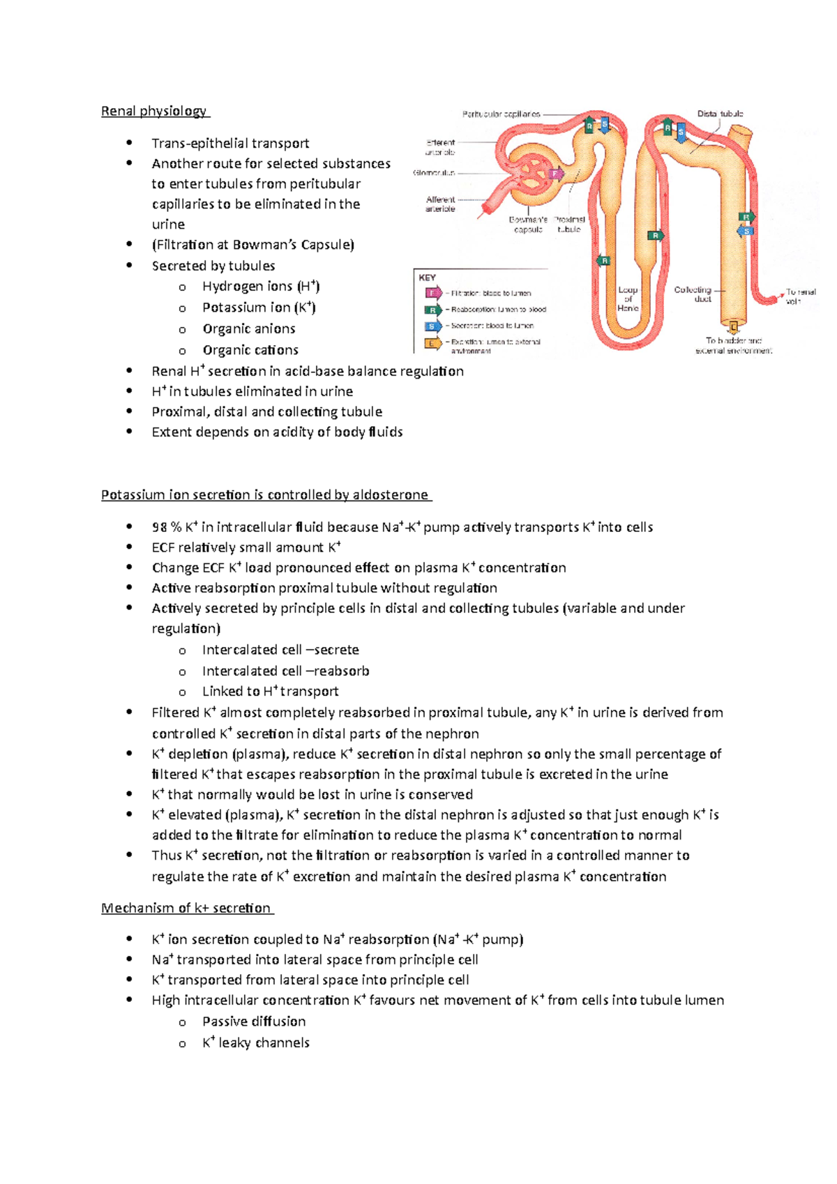 Lecture 31 - kidneys 3 - Renal physiology Trans-epithelial transport ...