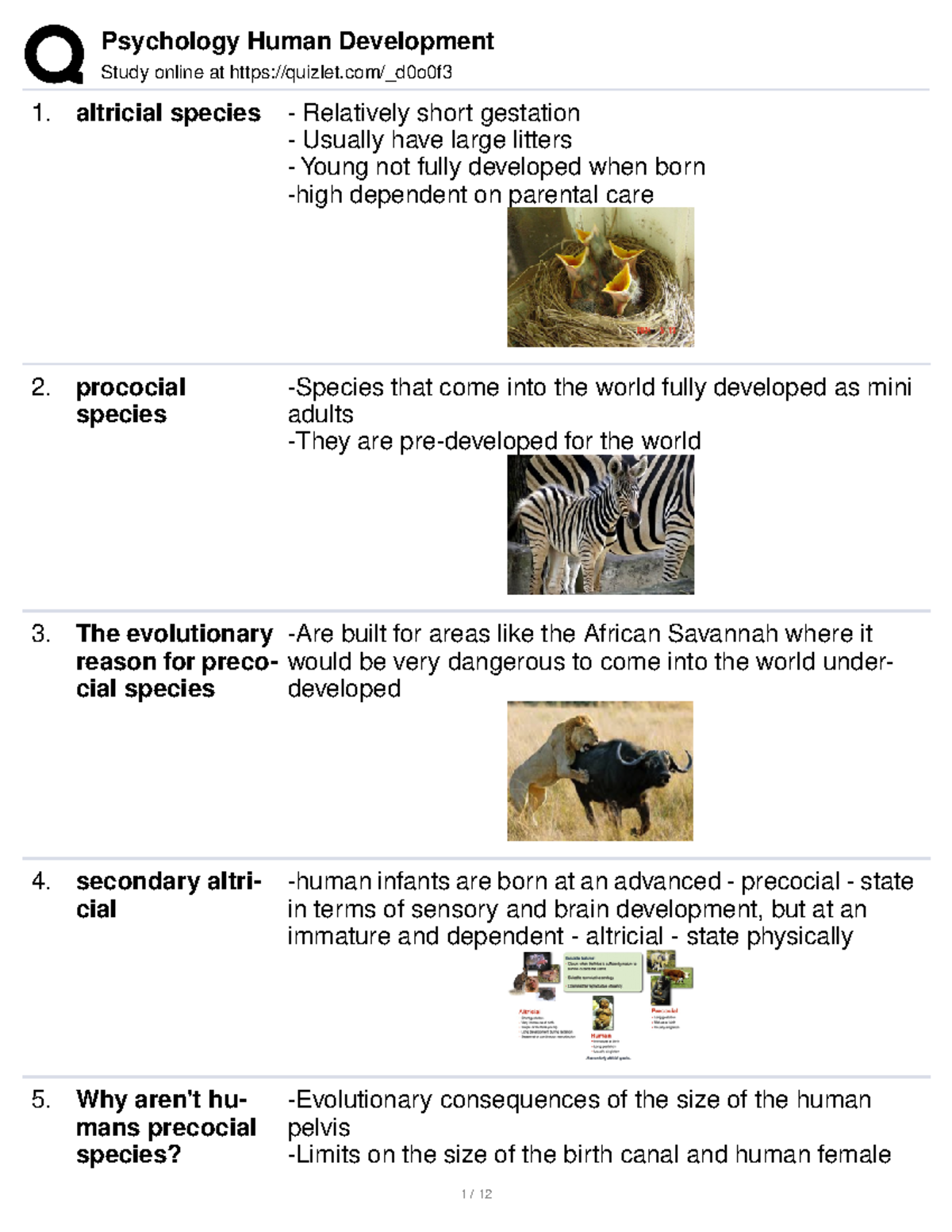 Psychology Human Development - Study online at quizlet/_d0o0f altricial ...