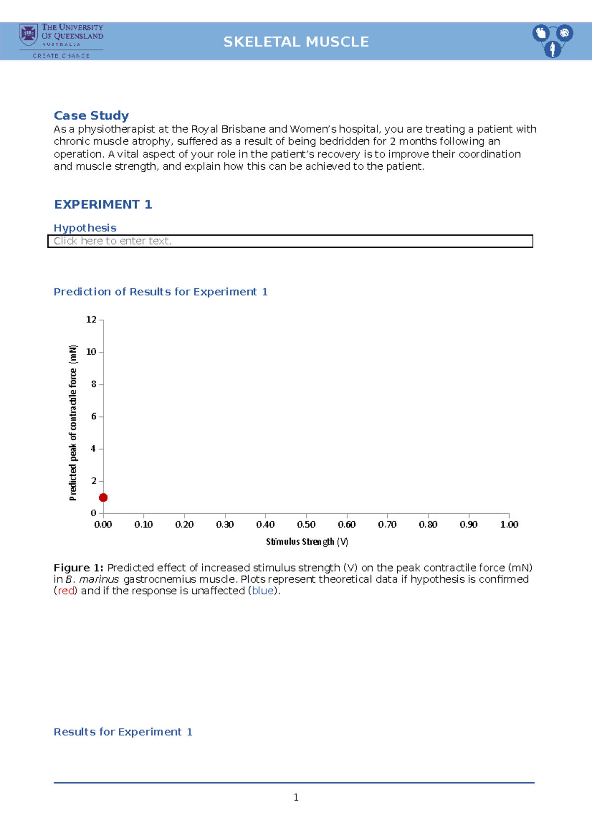 Sk M Report Template - notes - Case Study As a physiotherapist at the ...