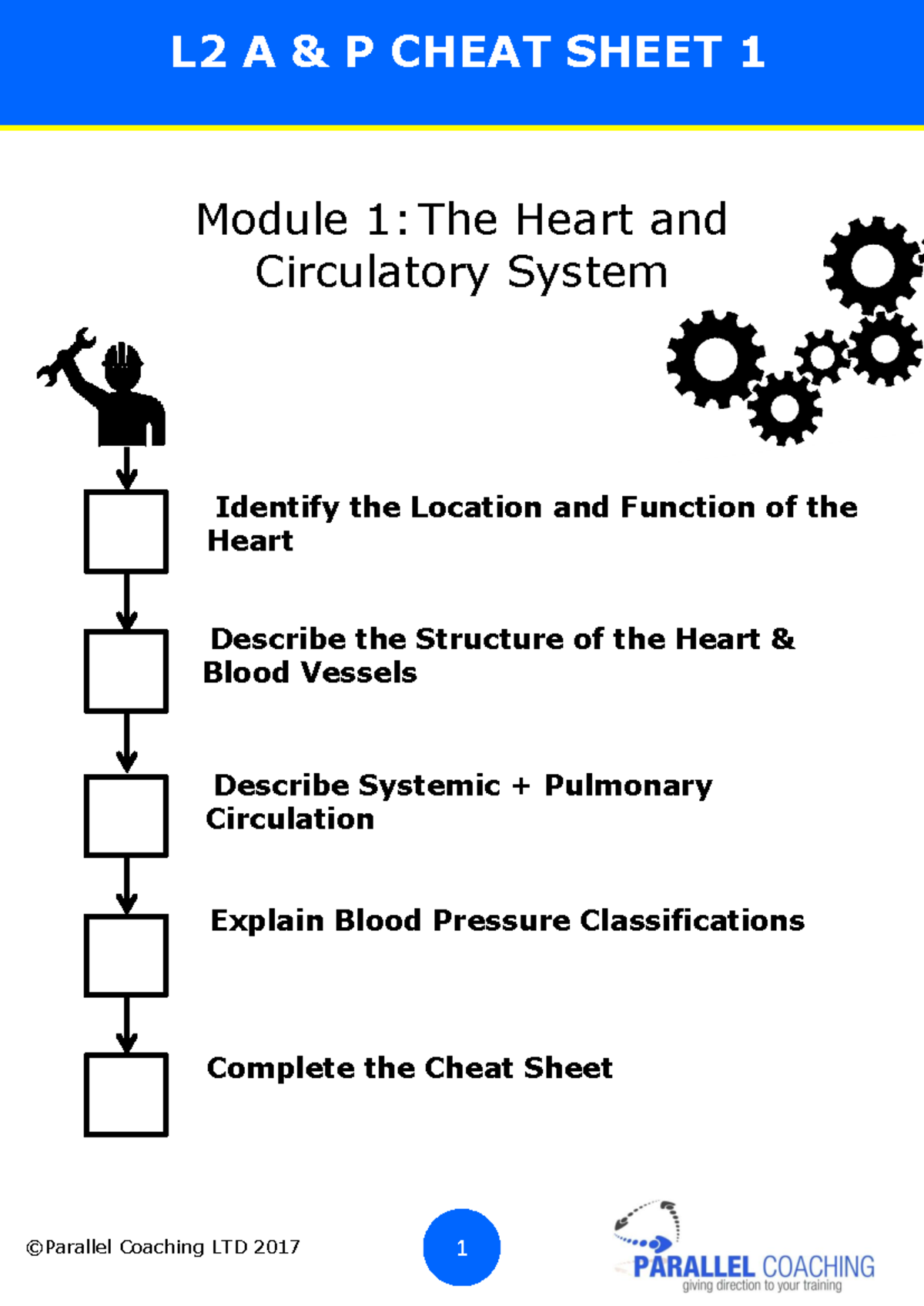 L2 A P Revision Mastery Cheat Sheet Module 1 Heart and Circulatory 1 ...