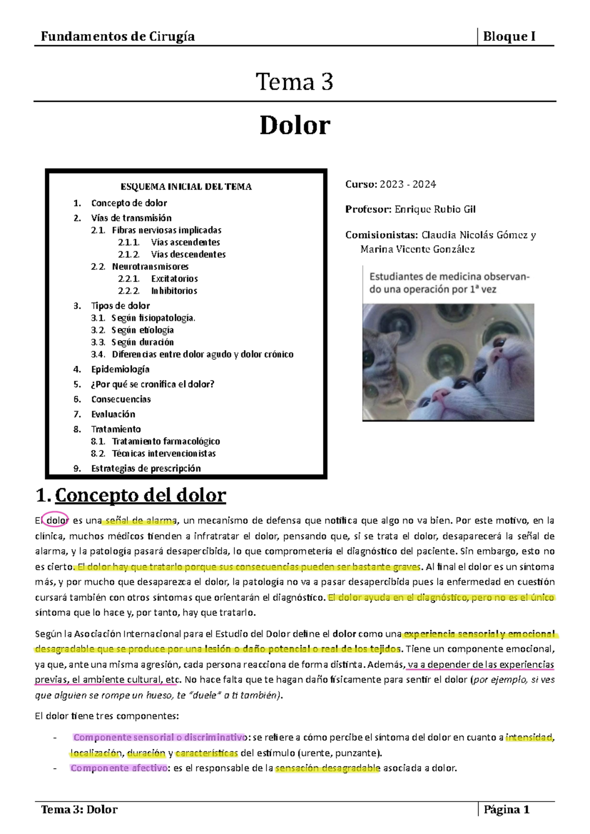 Tema 3 - Dolor - Tema 3 Dolor ESQUEMA INICIAL DEL TEMA 1. Concepto de dolor 2. Vías de ...