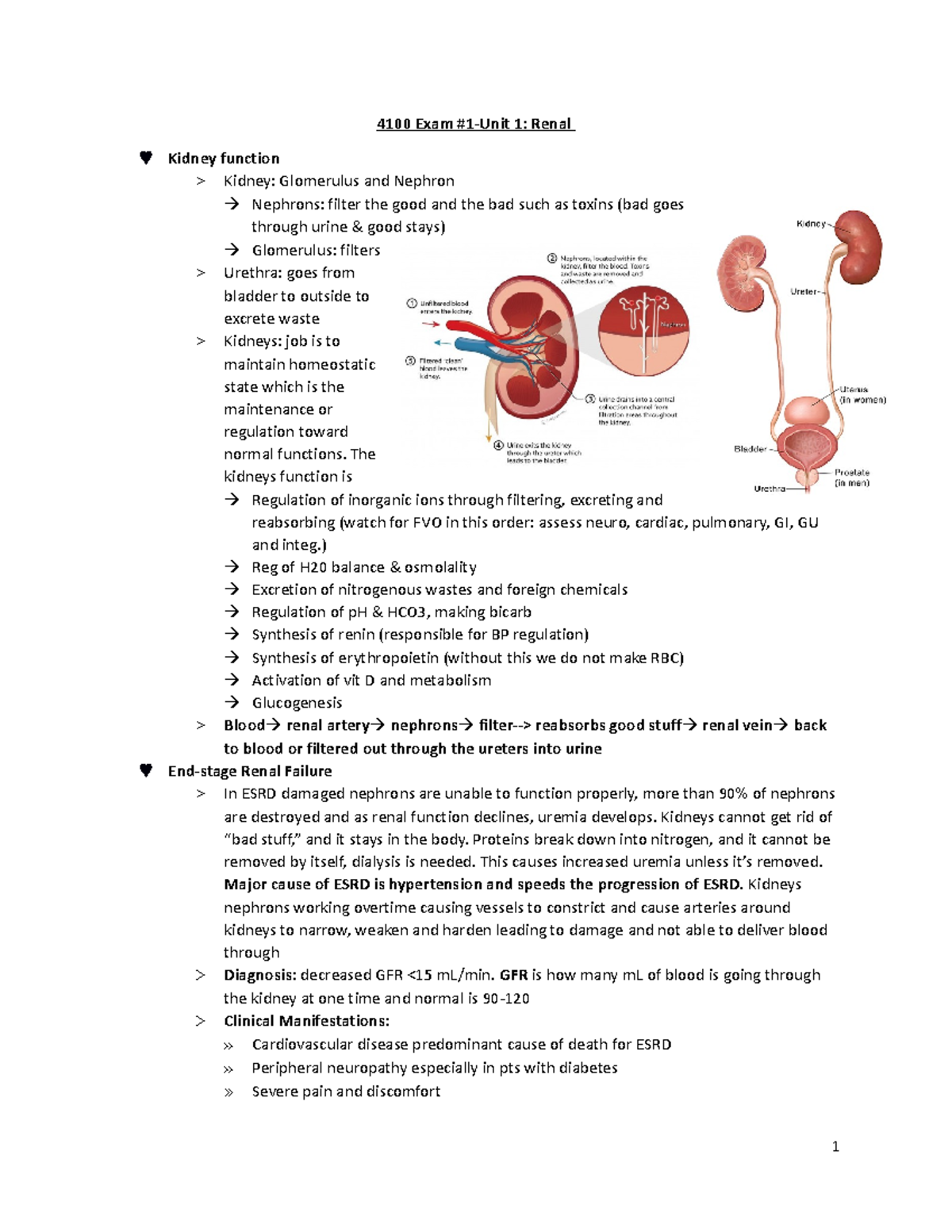 Exam 1 med surge 3 - pls read - 4100 Exam #1-Unit 1: Renal Kidney ...