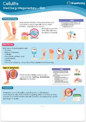 ATI System Disorder - Cellulitis - ACTIVE LEARNING TEMPLATE System ...