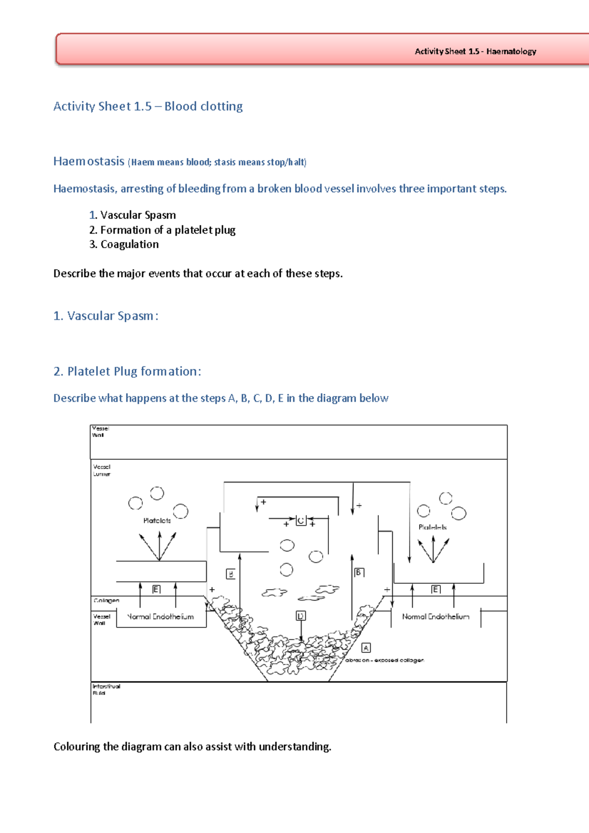 Activity Sheet 1.5 Blood clotting - Activity Sheet 1 - Haematology ...