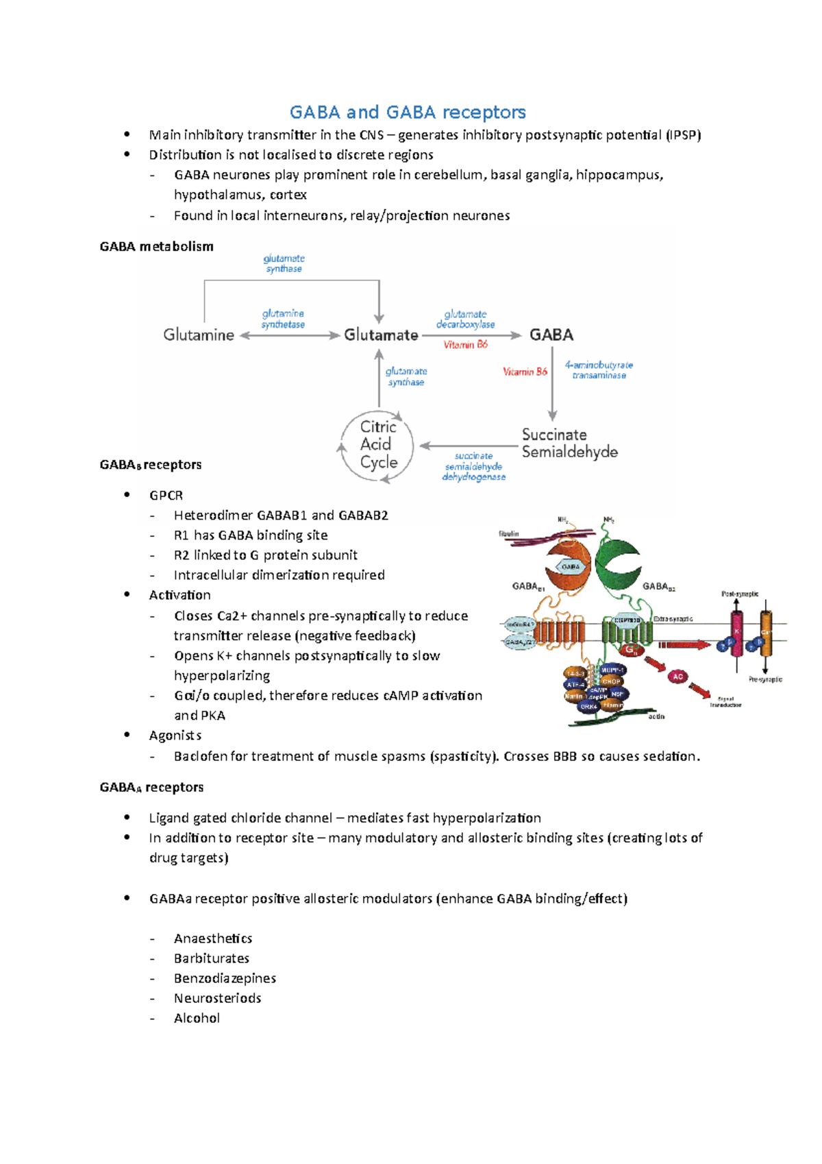 L3-GABA - Lecture notes 3 - GABA and GABA receptors Main inhibitory ...