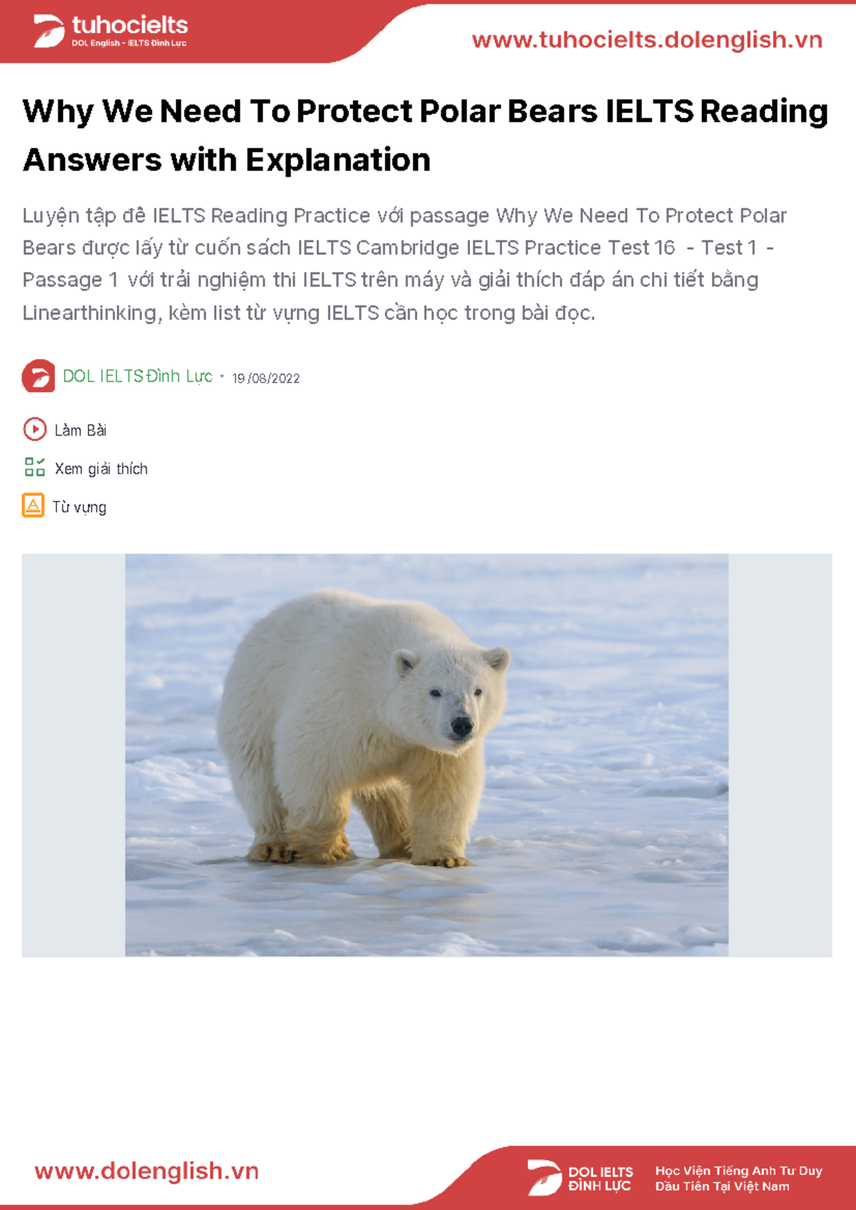 Why we need to protect polar bears - DOL IELTS Đình Lực Why We Need To ...