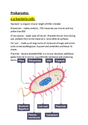 Human biology Unit 2 - Human biology UNIT 2: Learning aims A and B A1 ...