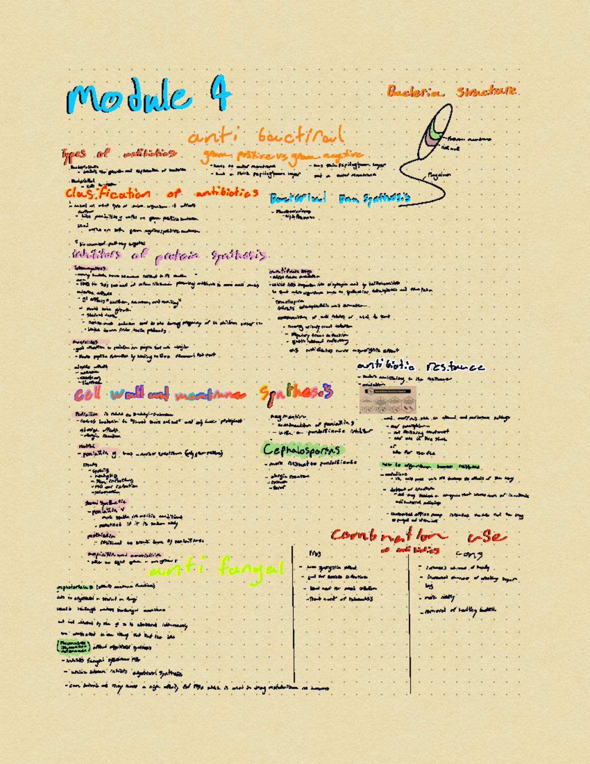 Module 4 phar 100pdf - Lecture notes 4 - MMO Jule f Bacteria structure ...