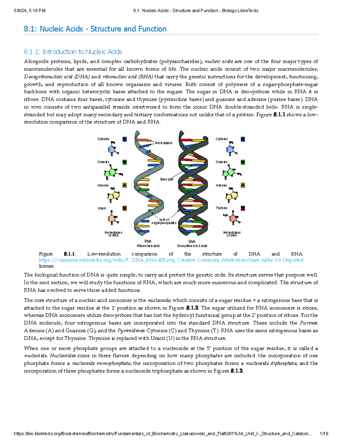 8.1 Nucleic Acids - Structure and Function - Biology Libre Texts - 8: Nucleic Acids - Structure ...