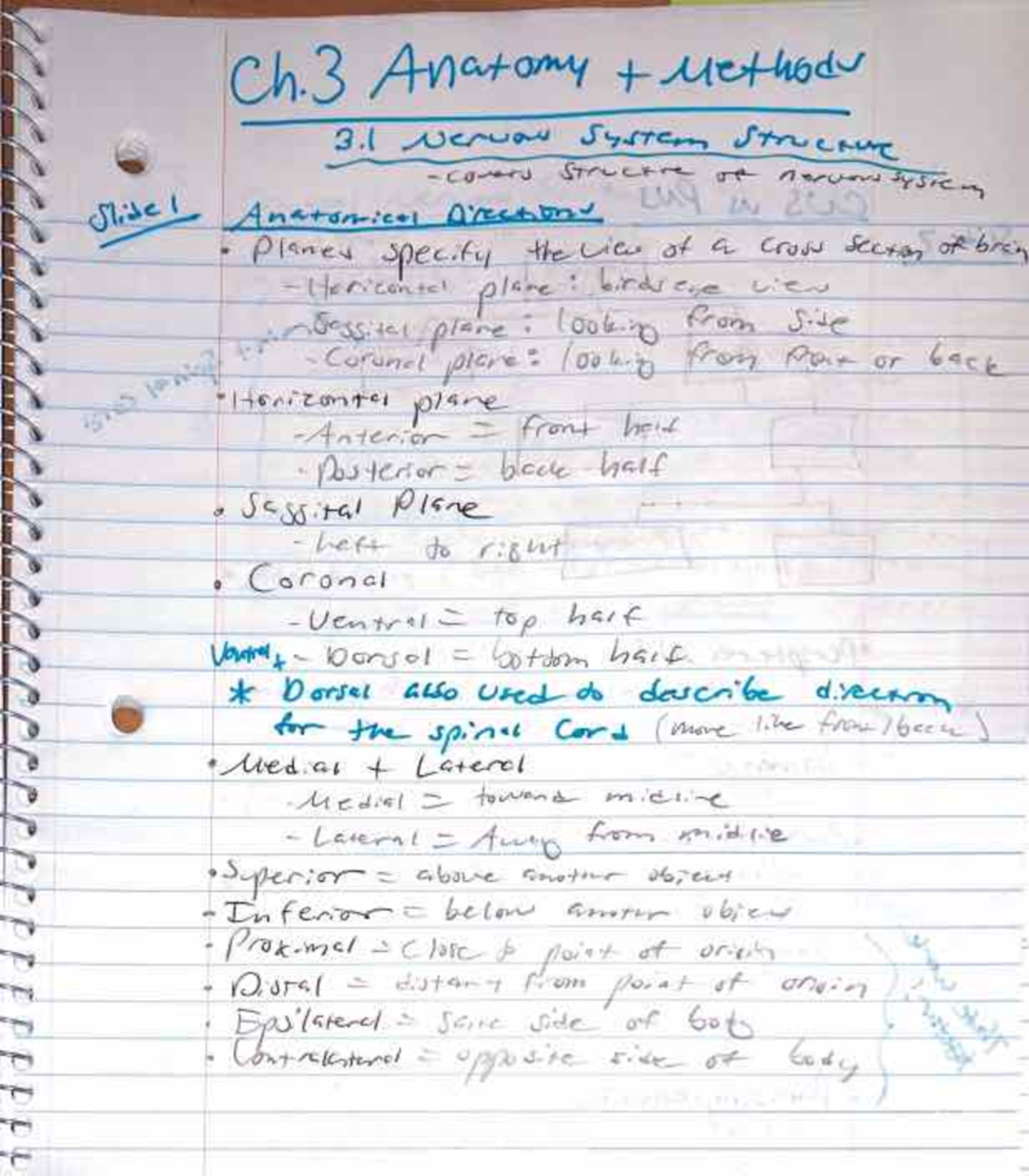Ch 3 Aide Memoir - Dr. Christ - PSYC U308 - USC Upstate - Studocu