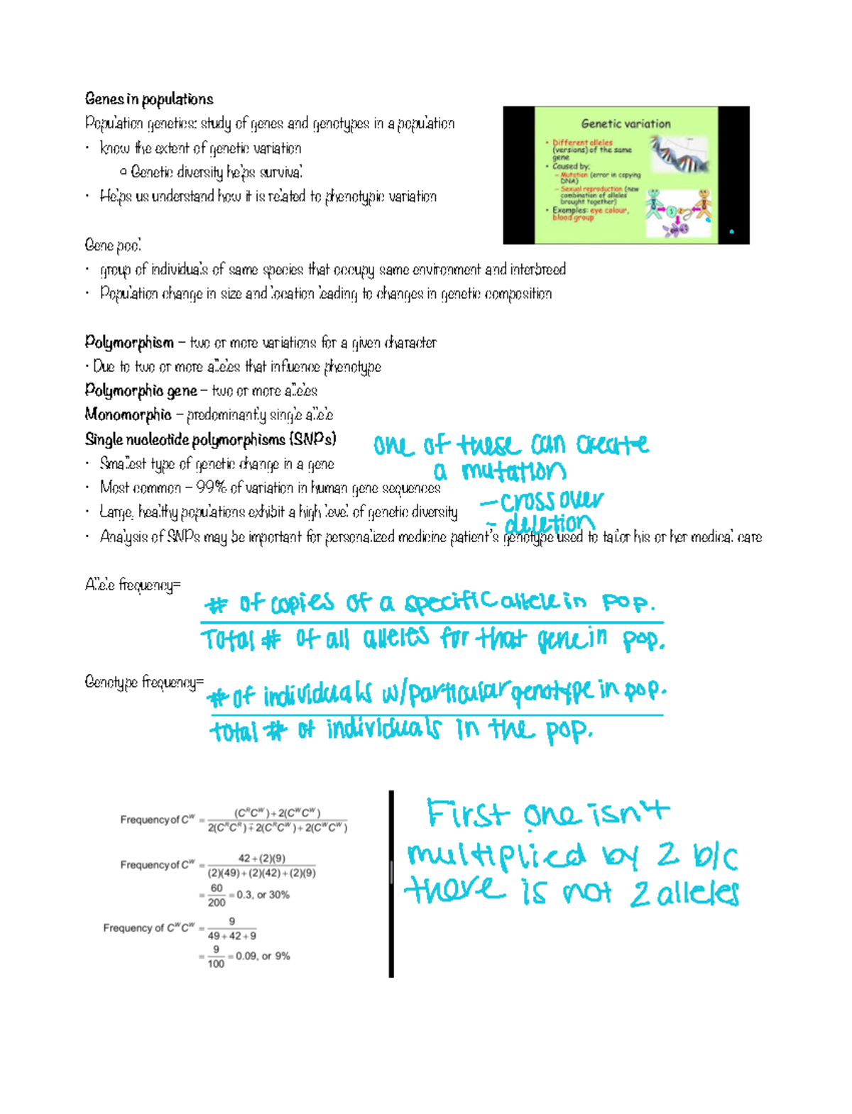 Chapter 23 population genetics - Genes in populations Population ...