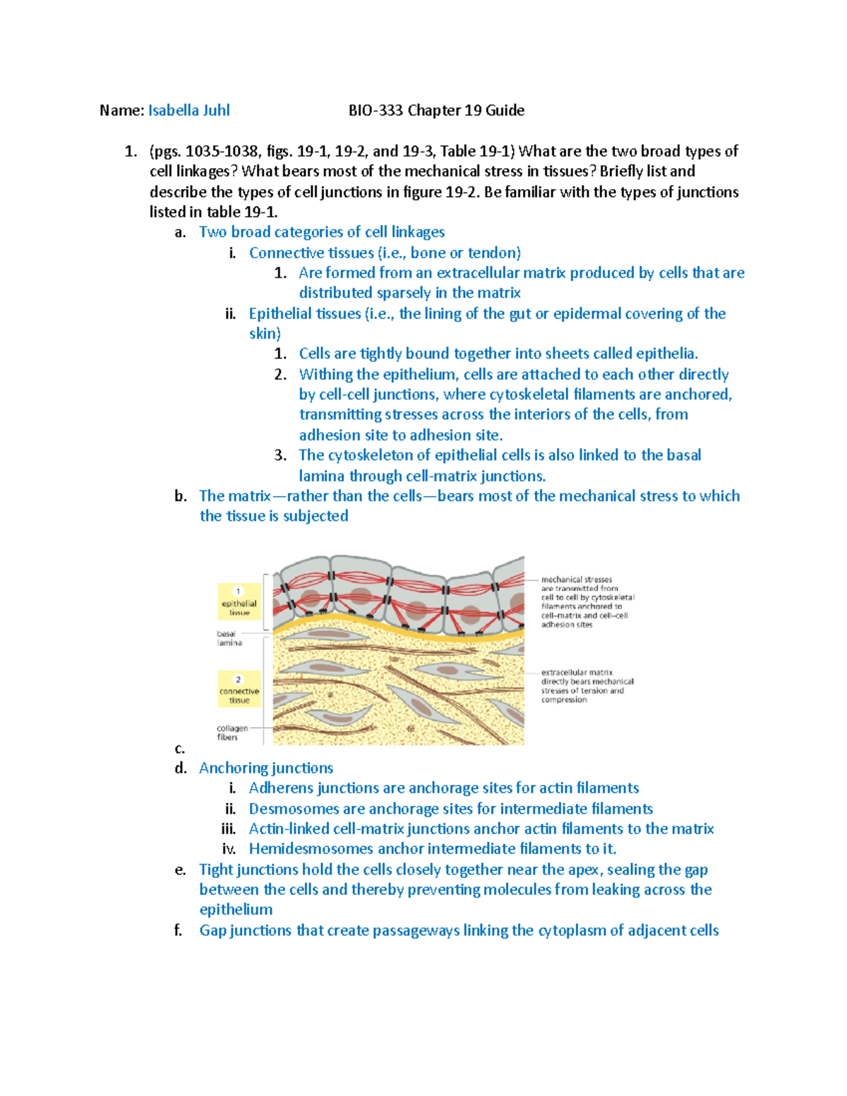 BIO-333 CH19 Guide-SM-F22 - Name: Isabella Juhl BIO-333 Chapter 19 ...