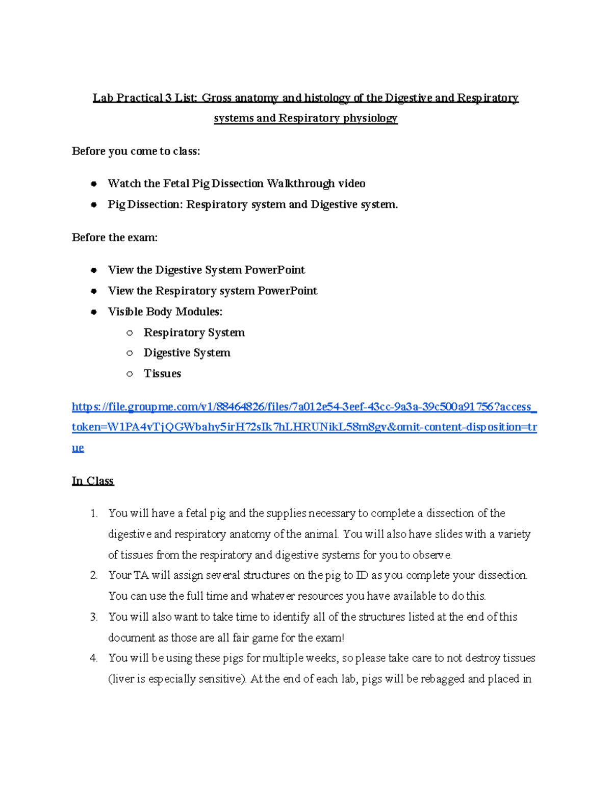 Exam 3 Practical List - digestive and respritory - Lab Practical 3 List ...