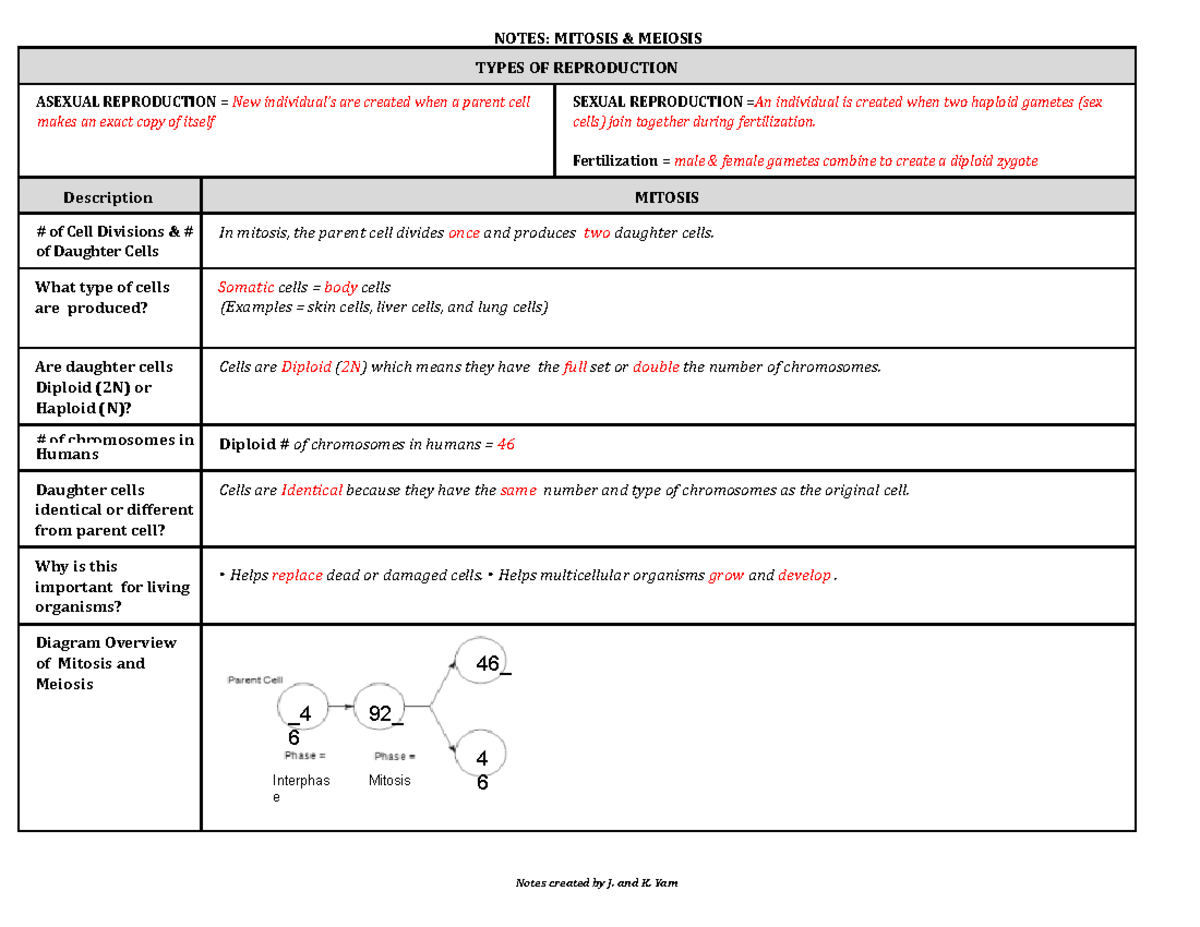 The Mitosis Notes - NOTES: MITOSIS & MEIOSIS TYPES OF REPRODUCTION ...