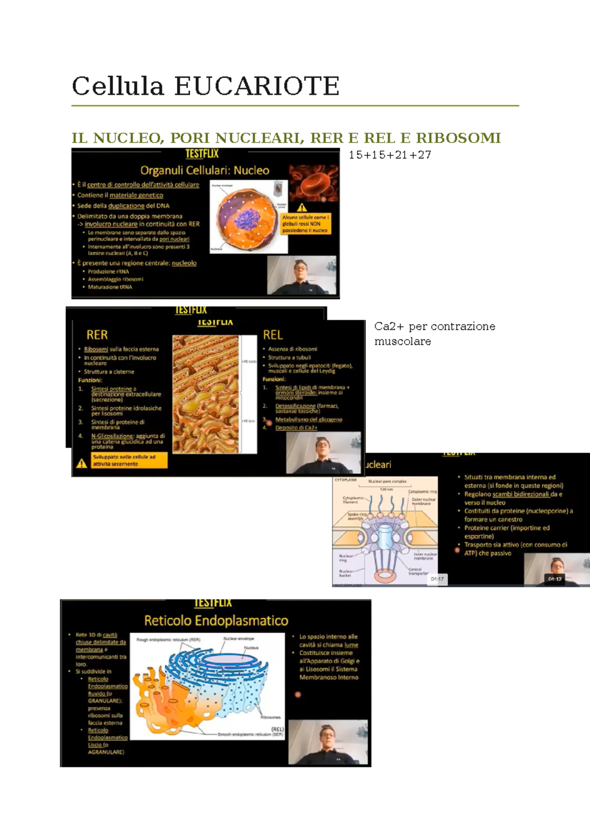 Citologia - Biologia Blu - Cellula EUCARIOTE IL NUCLEO, PORI NUCLEARI ...