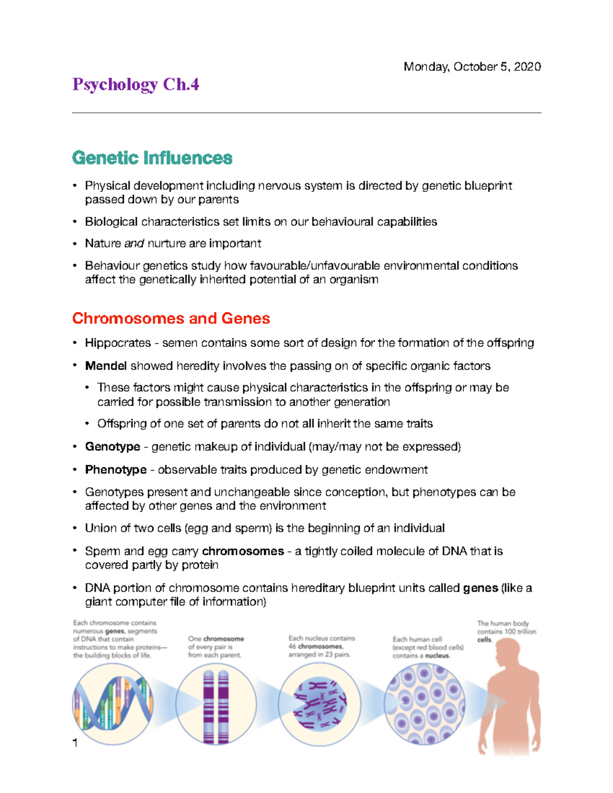 Chapter 4 - Dr Atkinson - Psychology Ch. Genetic Influences " Physical ...