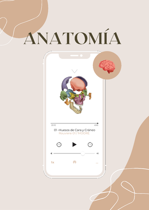 Anatomía región de la nuca y dorso - Región de la nuca También conocida ...