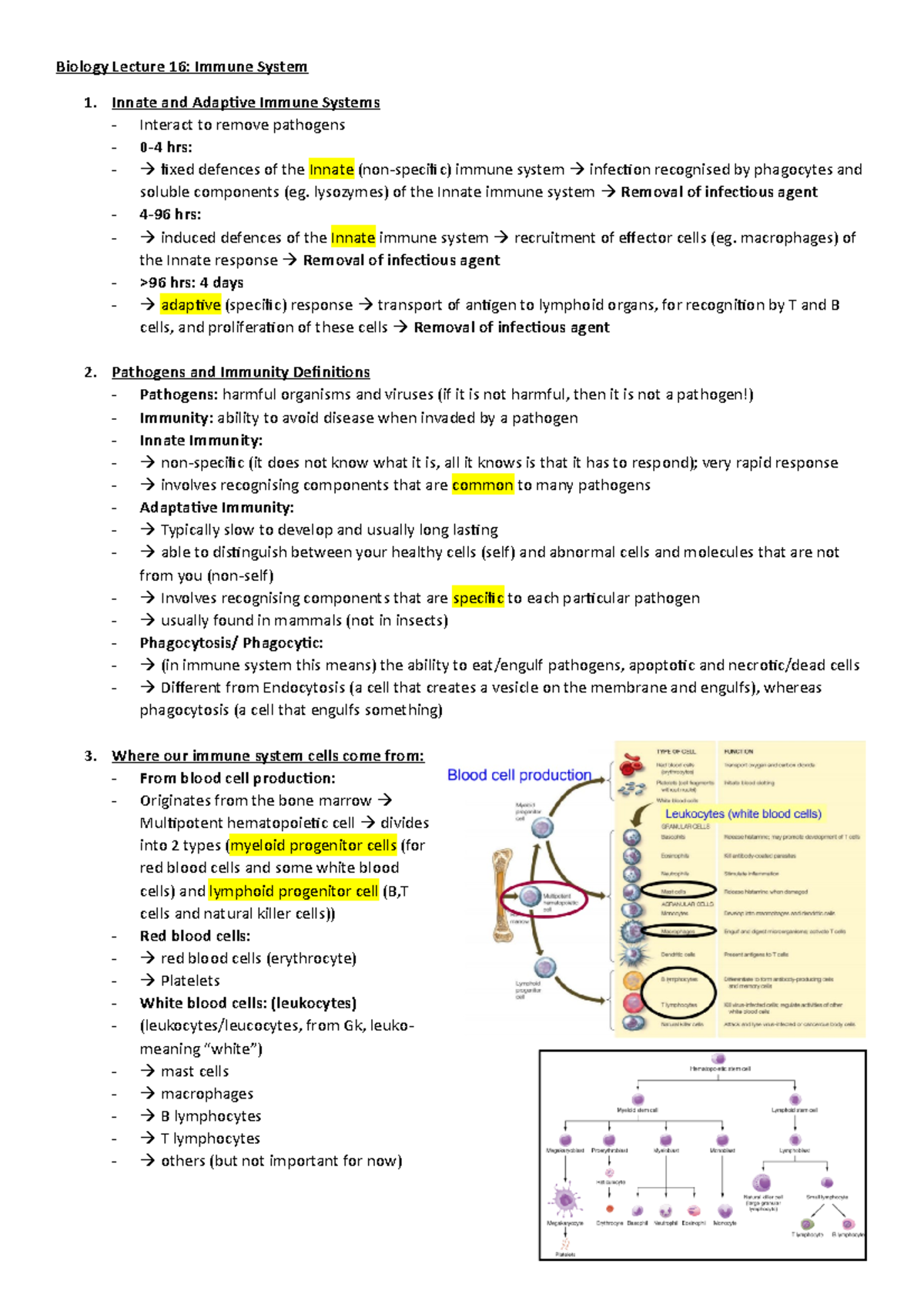 Biology Lecture Summary for the Immune System (own notes) - BIOM10002 ...