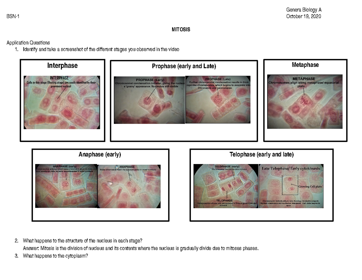 Gen bio activity 4 - All about gen bio - Genera Biology A BSN-1 October ...