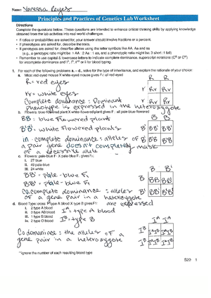 8 Cell Division Lab Worksheet F21 - Compare the nuclear and chromosomal ...