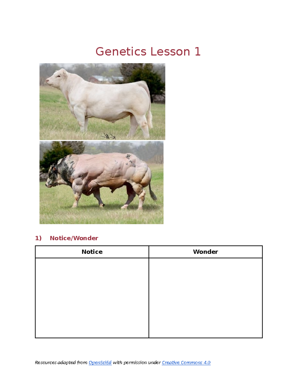 Interactive+Notes - s - Genetics Lesson 1 1) Notice/Wonder Notice ...