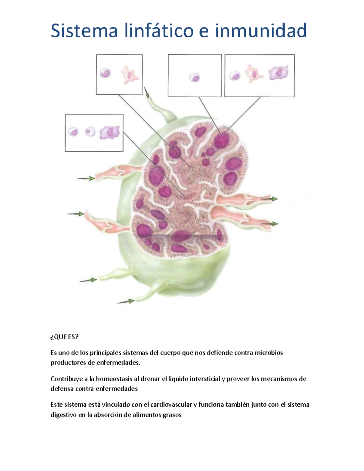Sistema LinfáTICO E Inmunidad - Sistema linfático e inmunidad ¿QUE ES? Es uno de los principales ...
