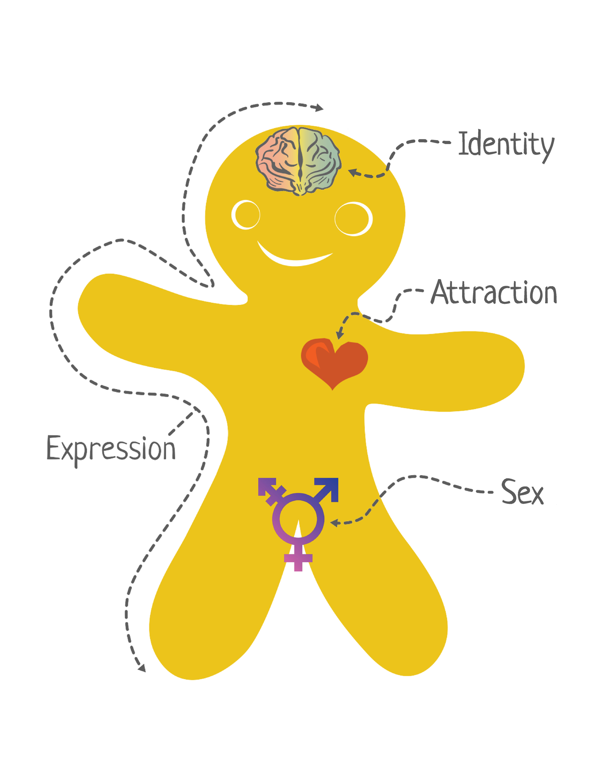 Genderbread Person v4 ALL (1) - v ####### Identity Att Expression Sex ...